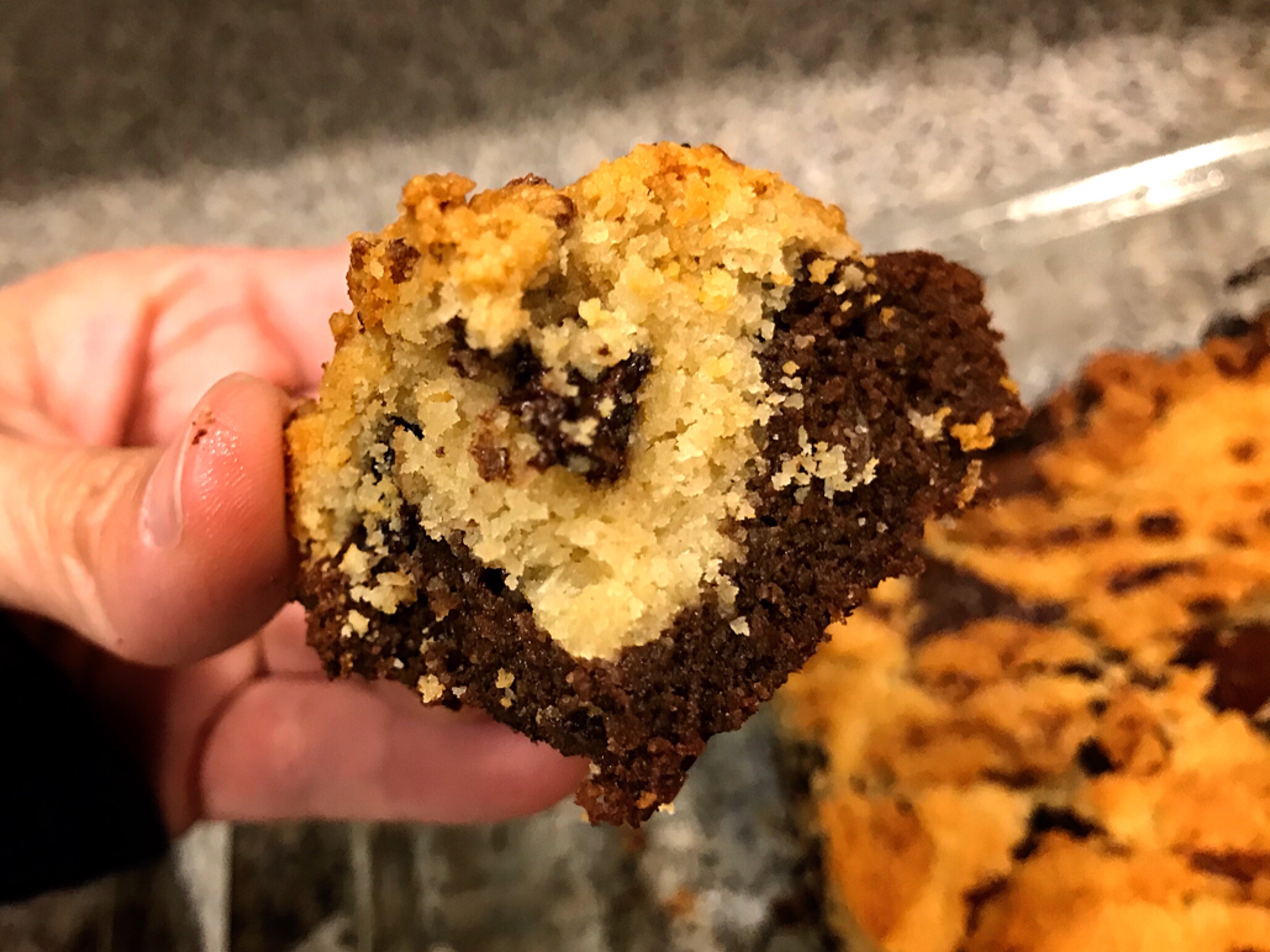 Torta marmoleada de chocolate y vainilla – Cocinando Keto